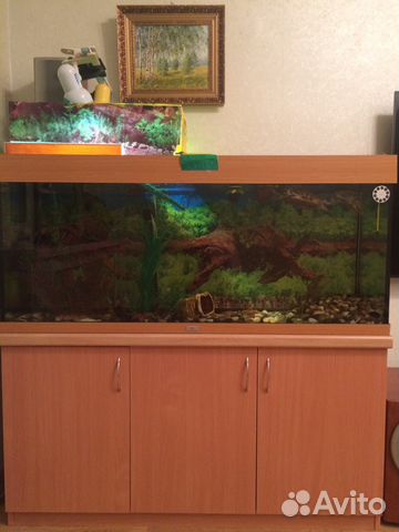 Аквариум с тумбой 240л