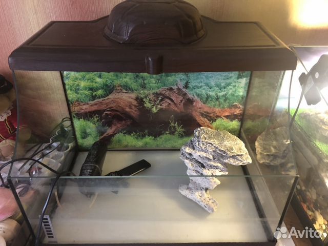 Аквариум для черепах, черепашатник