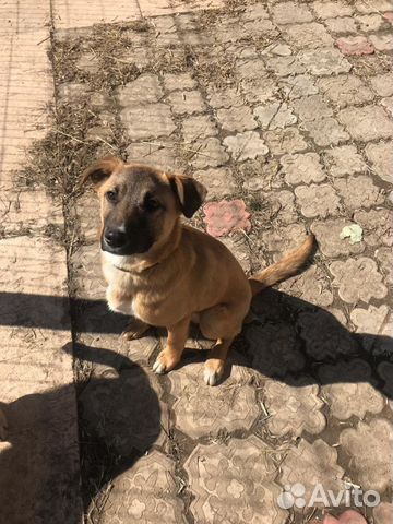 Смышленный мальчишка