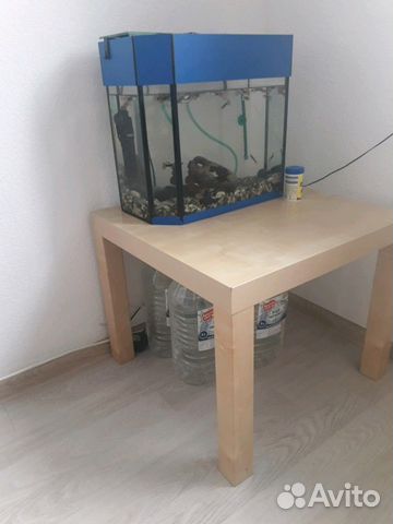 Аквариум. Аквариумные рыбки. Гуппи