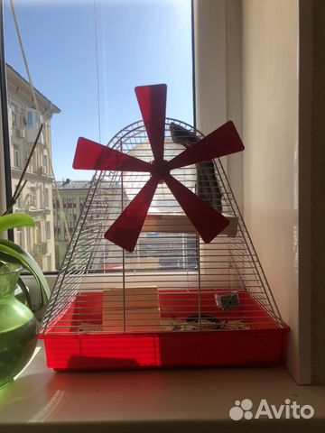 Клетка + мышка дамбо