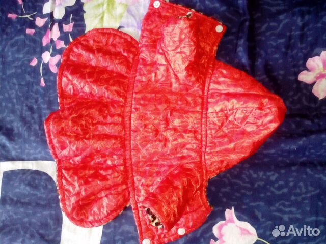 Вещи для щенка