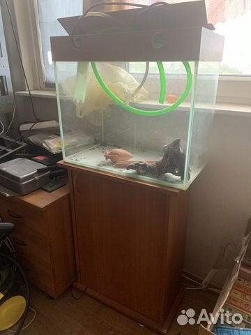 Аквариум с тумбой и со всем необходимым