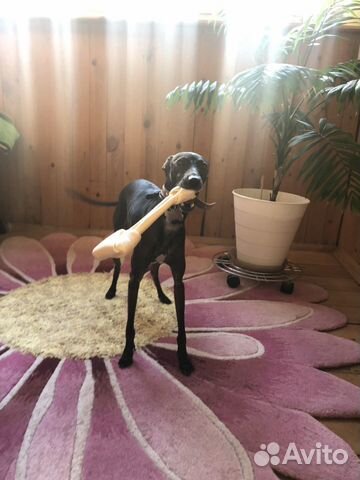 Вязка леврет