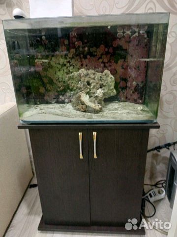 Аквариум морской