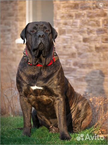 Вязка бурбуль