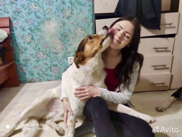 Джеймс) душа компании