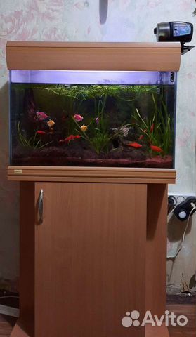 Аквариум 80л
