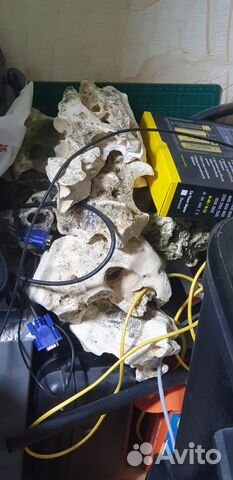 Аквариум Aquatlantis 250 L