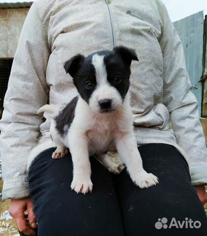 Махонький мальчик в квартиру