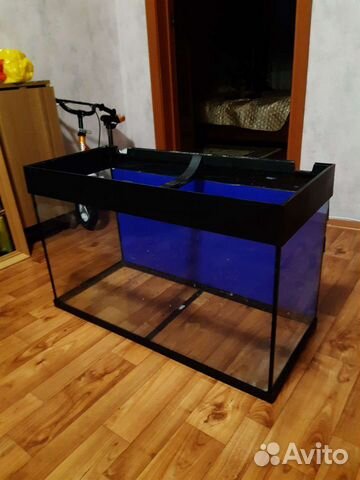 Аквариум
