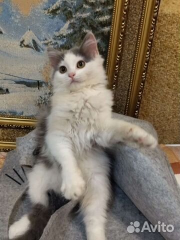 Мальчишка очень хочет домой