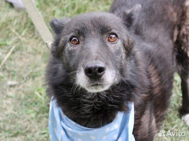 Луиза заглядывает в глаза и умоляет спасти