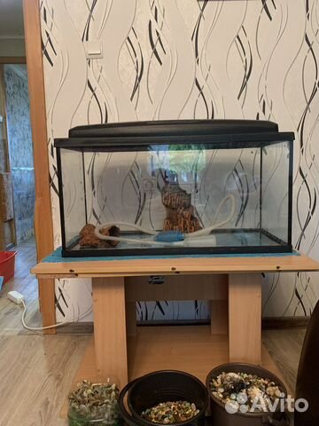 Аквариум