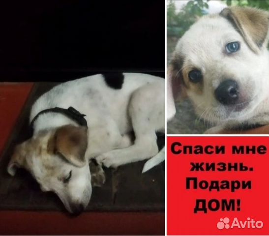 Малышка ждёт помощи