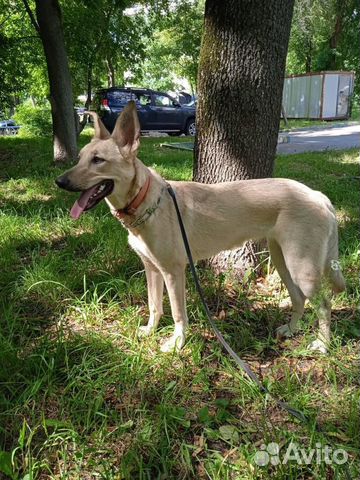 Триша хочет жить