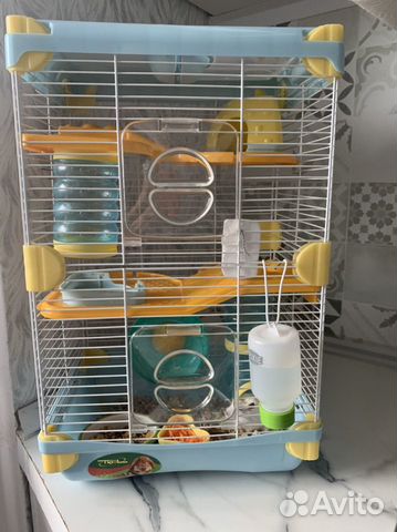 Хомяк с клеткой