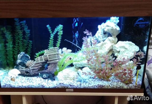 Продам аквариум, 120литров