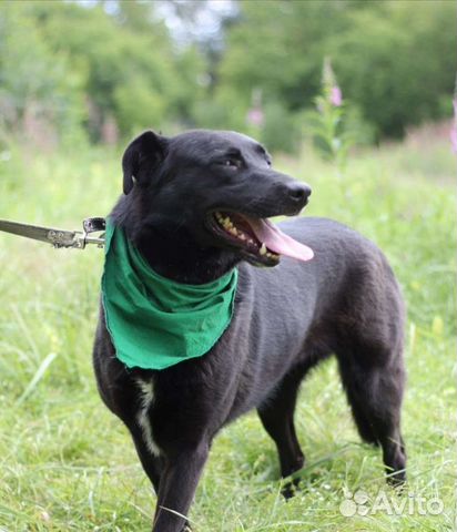 Подари Герде дом и заботу