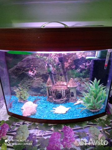 Аквариум с рыбками