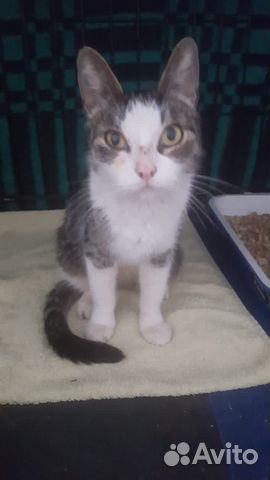 Маленькая принцесса