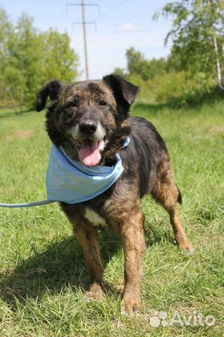 Выбросили на улицу, как мусор