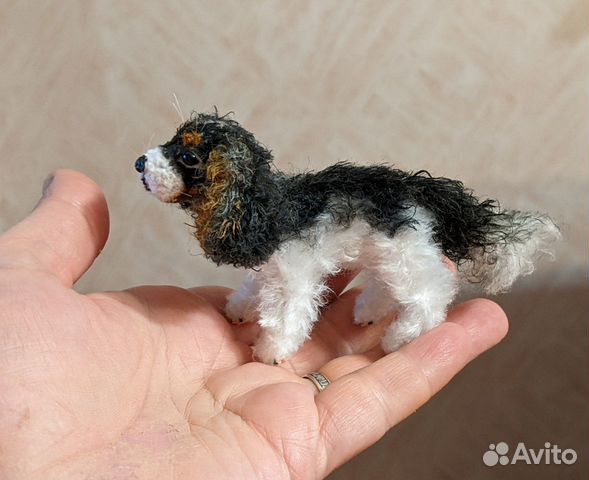 Кавалер Кинг Чарльз Спаниель. Миниатюра