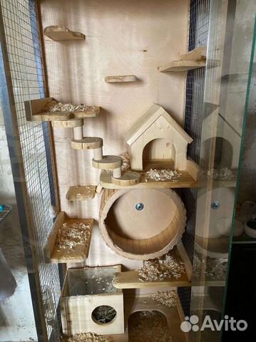 Белки чилийские 2шт с витриной