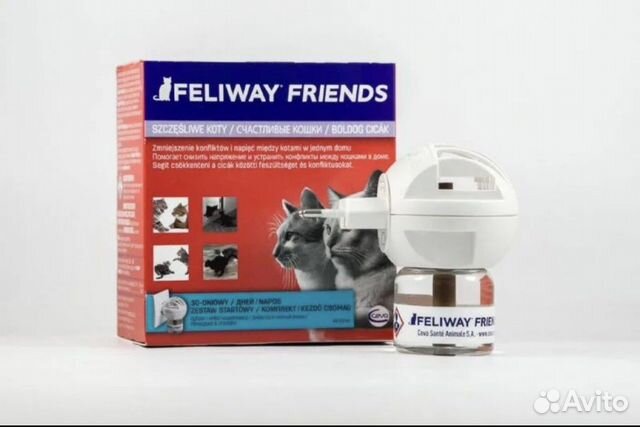 Feliway Friends