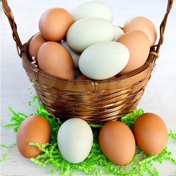 Чешский доминант