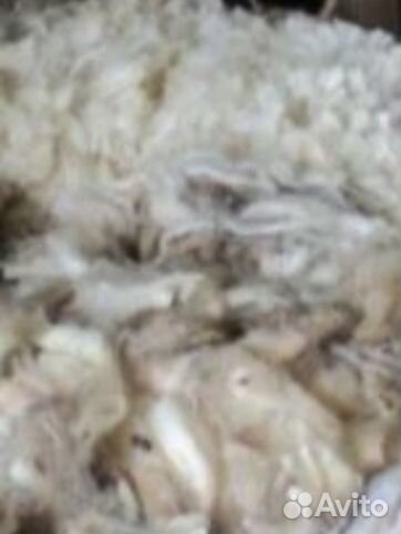 Шерсть мериноса