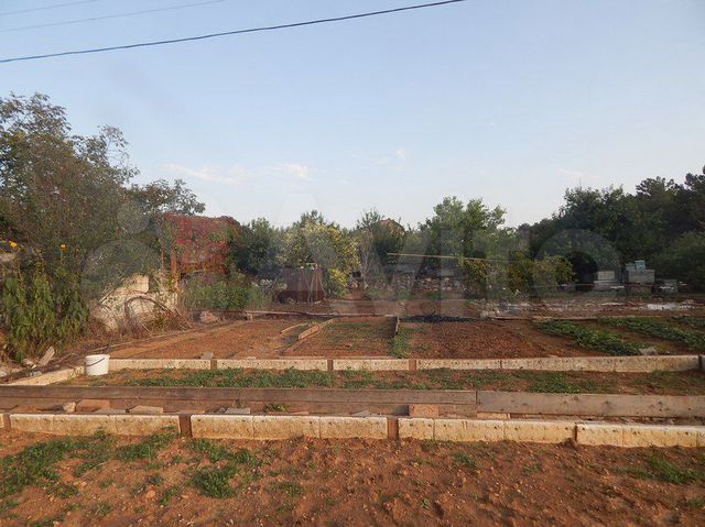 Продам племенных пчёл,пасеку