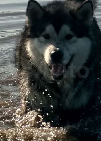 Знакомство